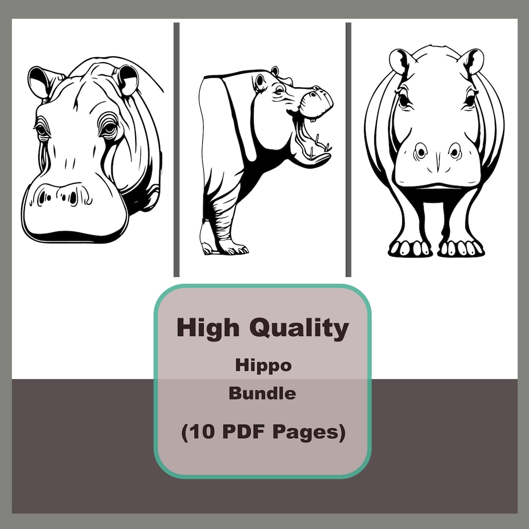 BUNDLE OF 10 Hippo Coloring Bundle of 10 A4 Size PDF - Etsy