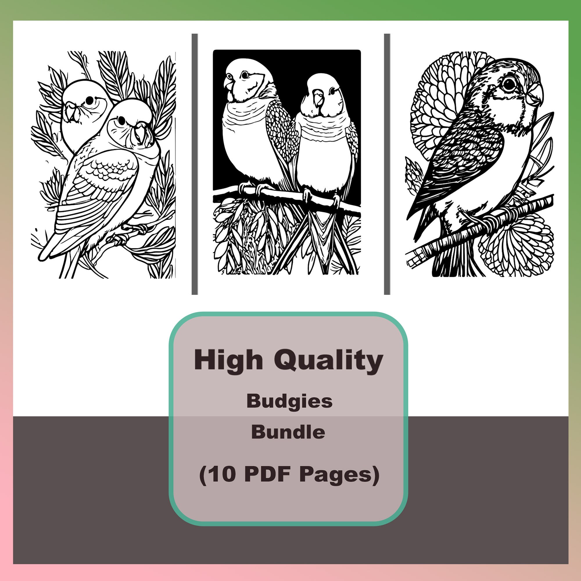 Budgie Coloring Pages