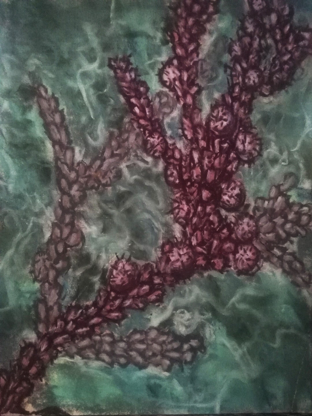 Drawing of Algae Inspired by the "artistic Forms of Nature" by ...
