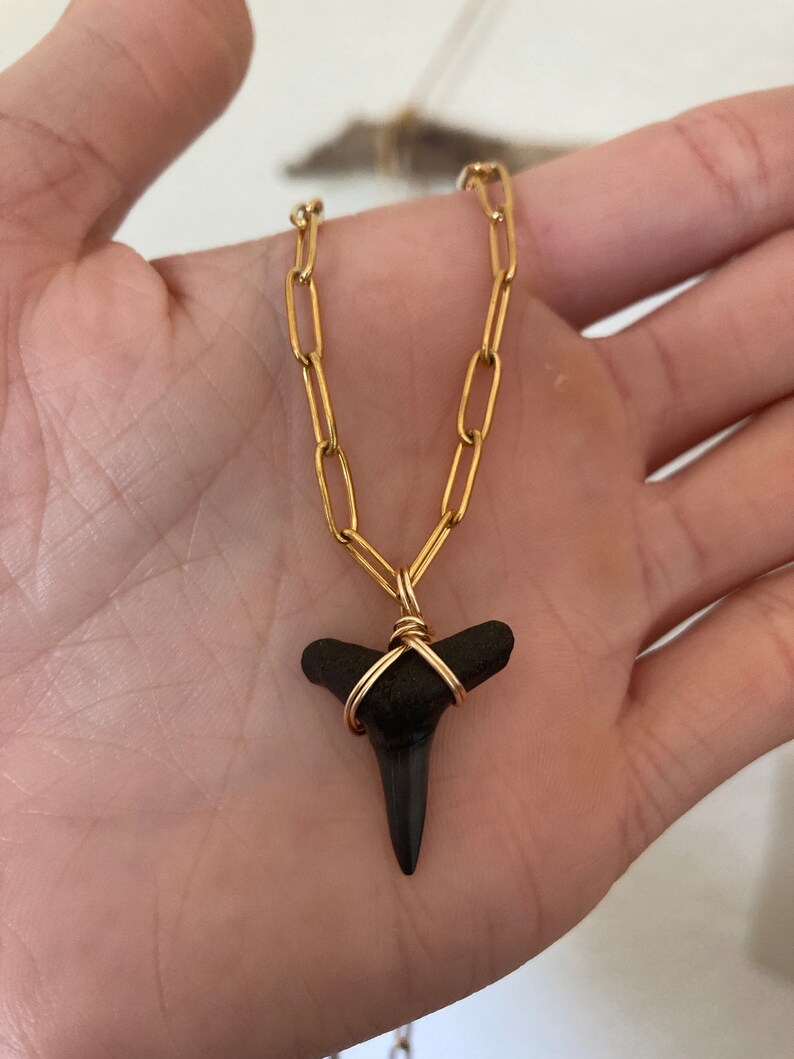 Gold Chain Shark Tooth Chain Necklace - Etsy