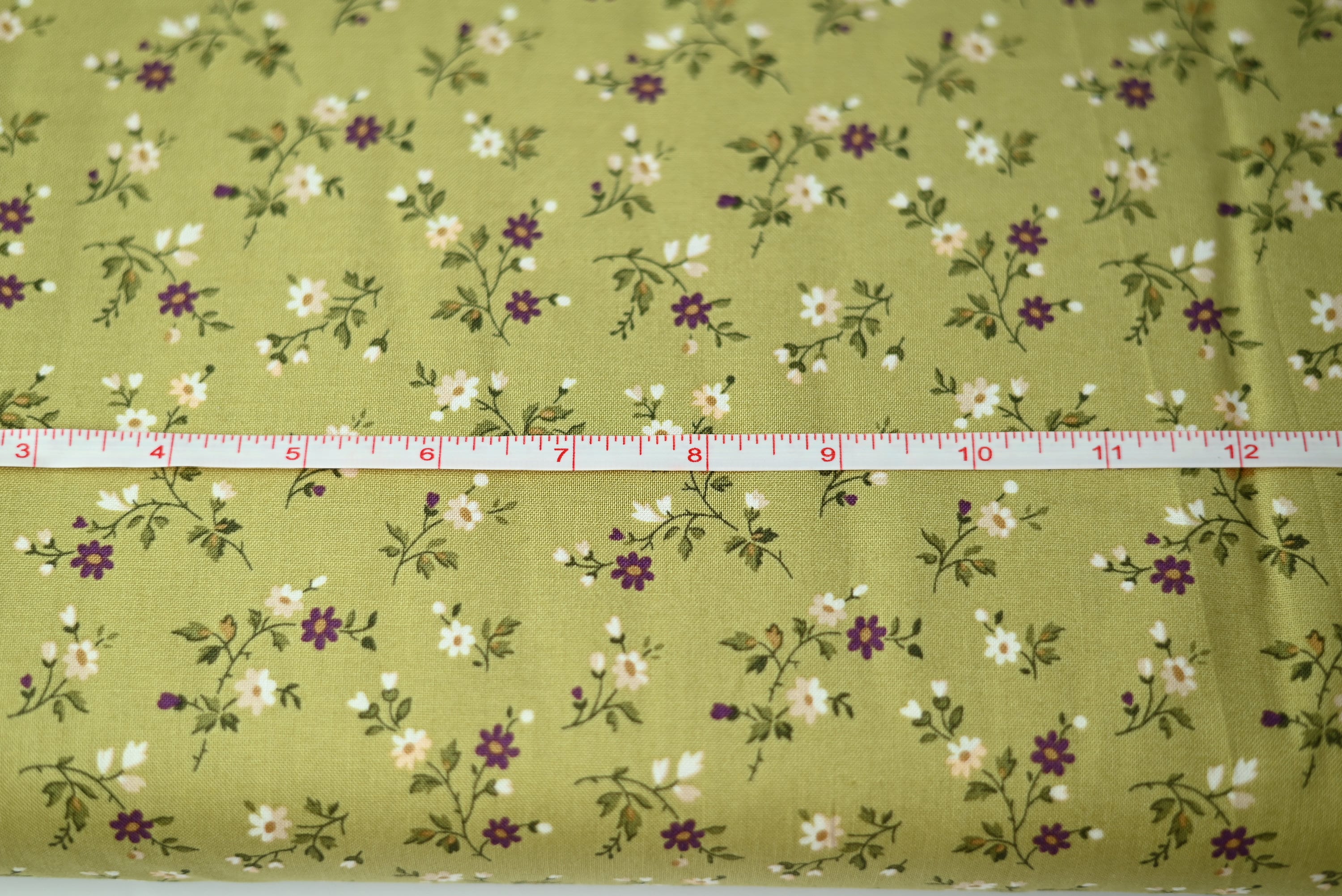 Stems Fern From Anne of Green Gables™ for Riley Blake Designs C13854 ...