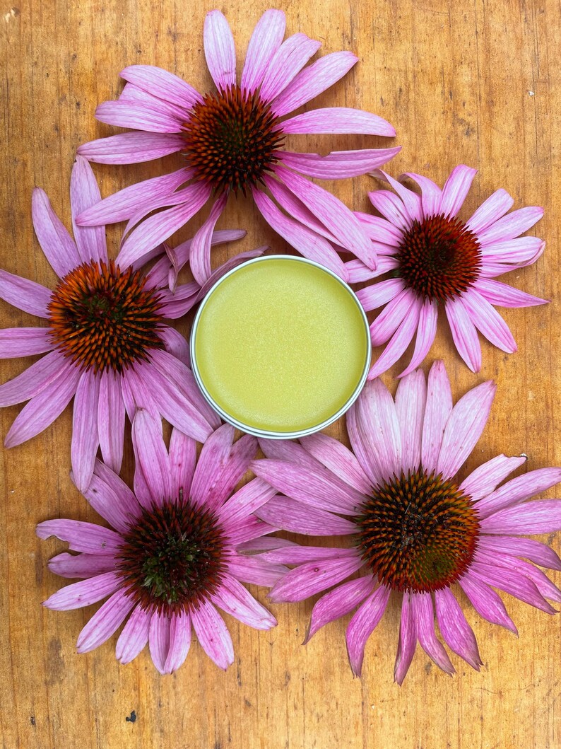 Handcrafted Salve, All-natural, Plant-based, Eco-friendly, Gentle ...