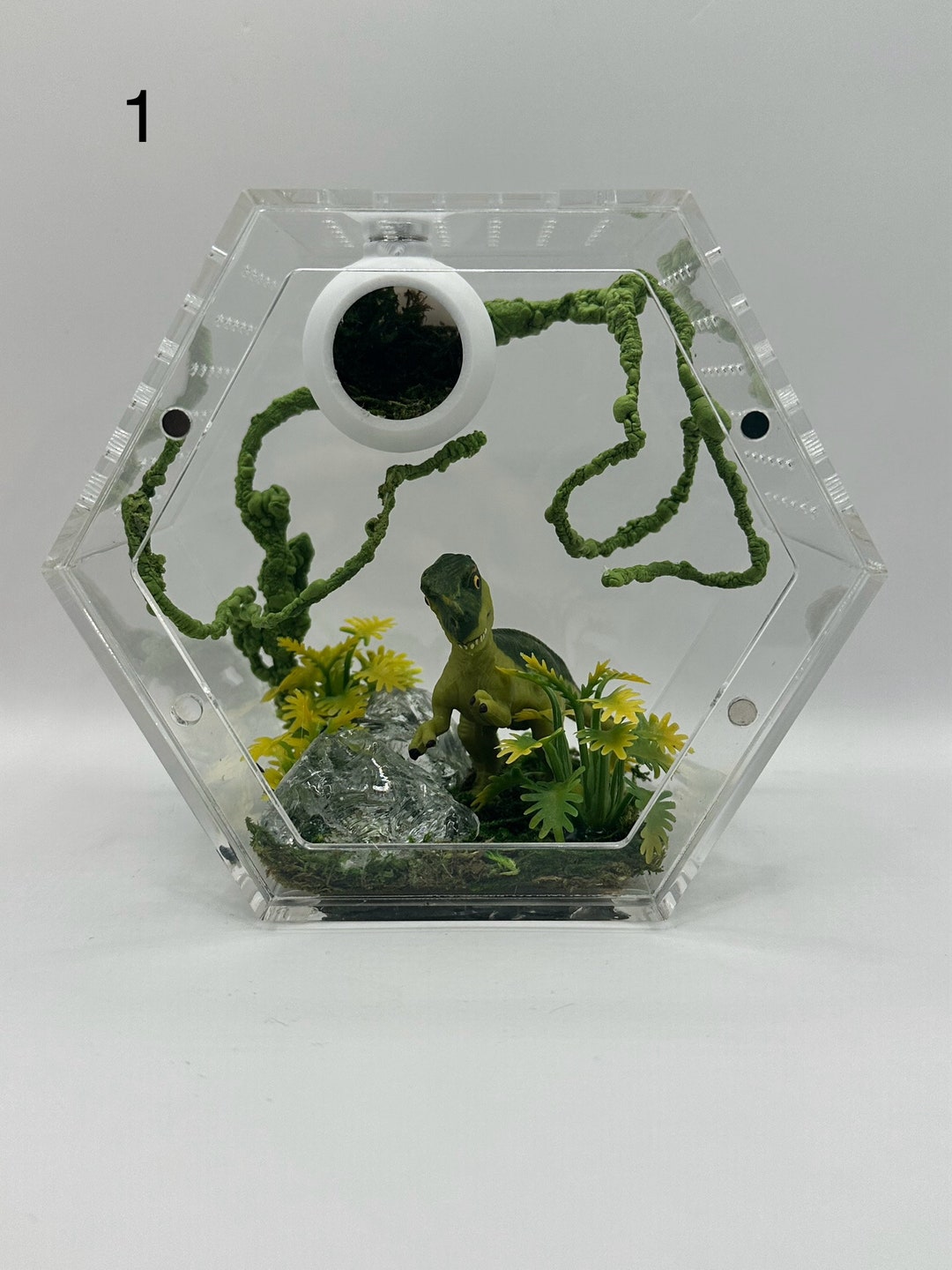 JC Hexagon Decorated Enclosures - Etsy