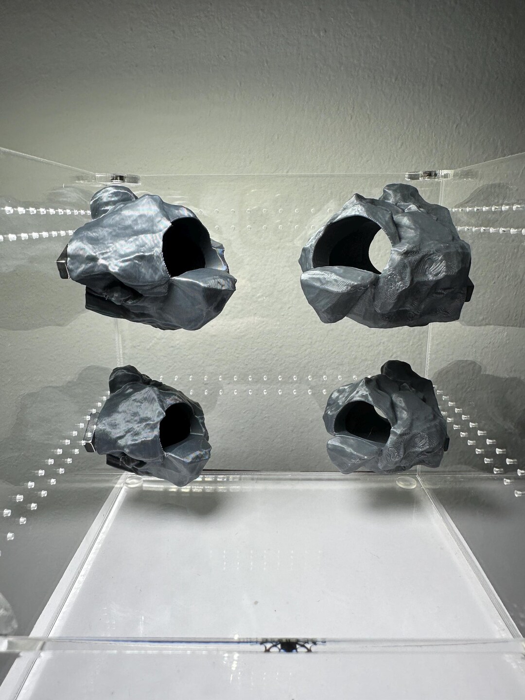 Jumping Spider Cave Hides - Etsy