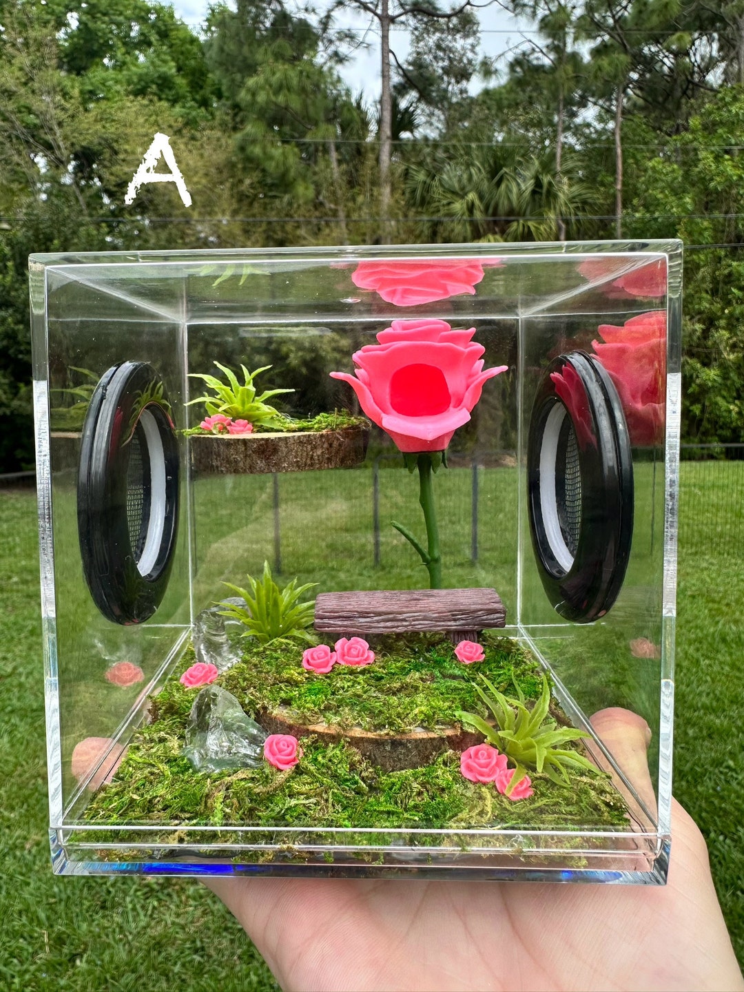 Decorated Enclosures - Etsy