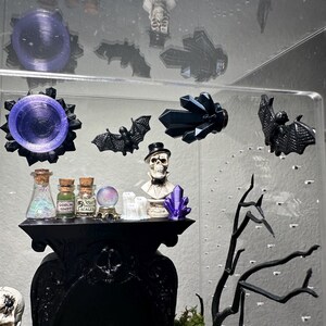 Witch Themed Enclosure - Etsy