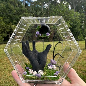 JC Decorated Hexagon Enclosures - Etsy