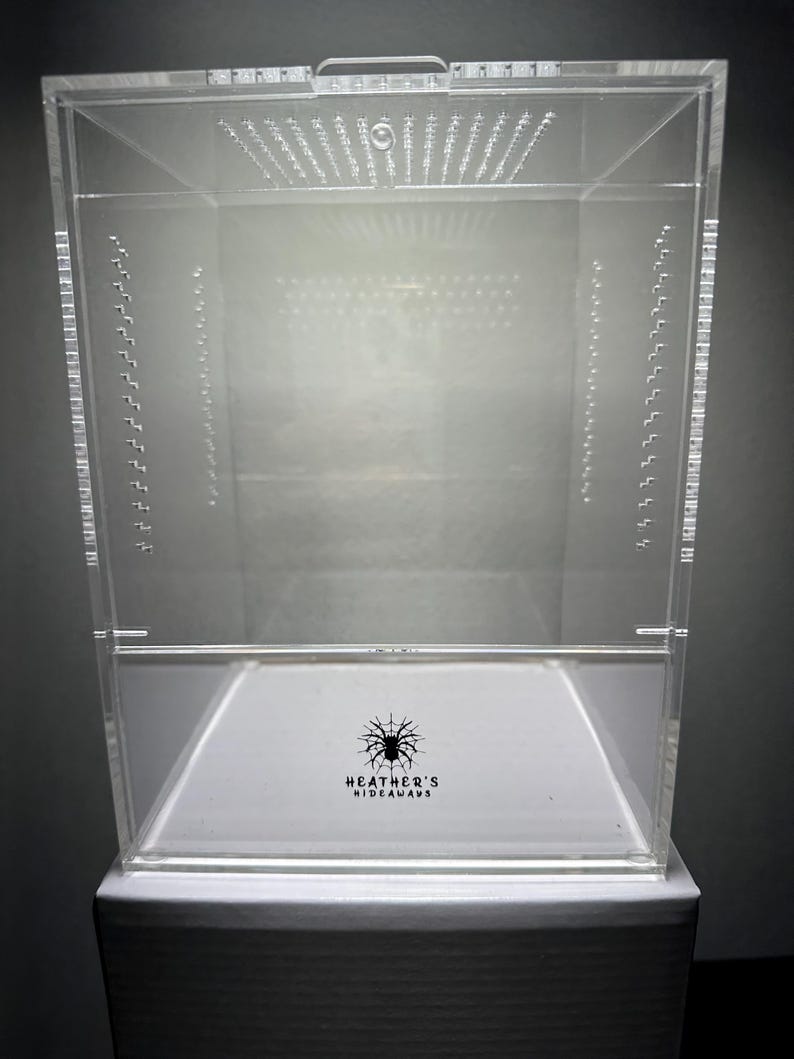 6x6x8 Jumping Spider Enclosure - Etsy