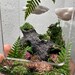 Log Enclosure - Etsy