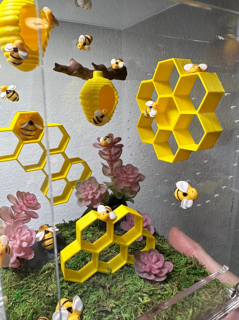 5x5x7 Bee Themed Enclosure - Etsy