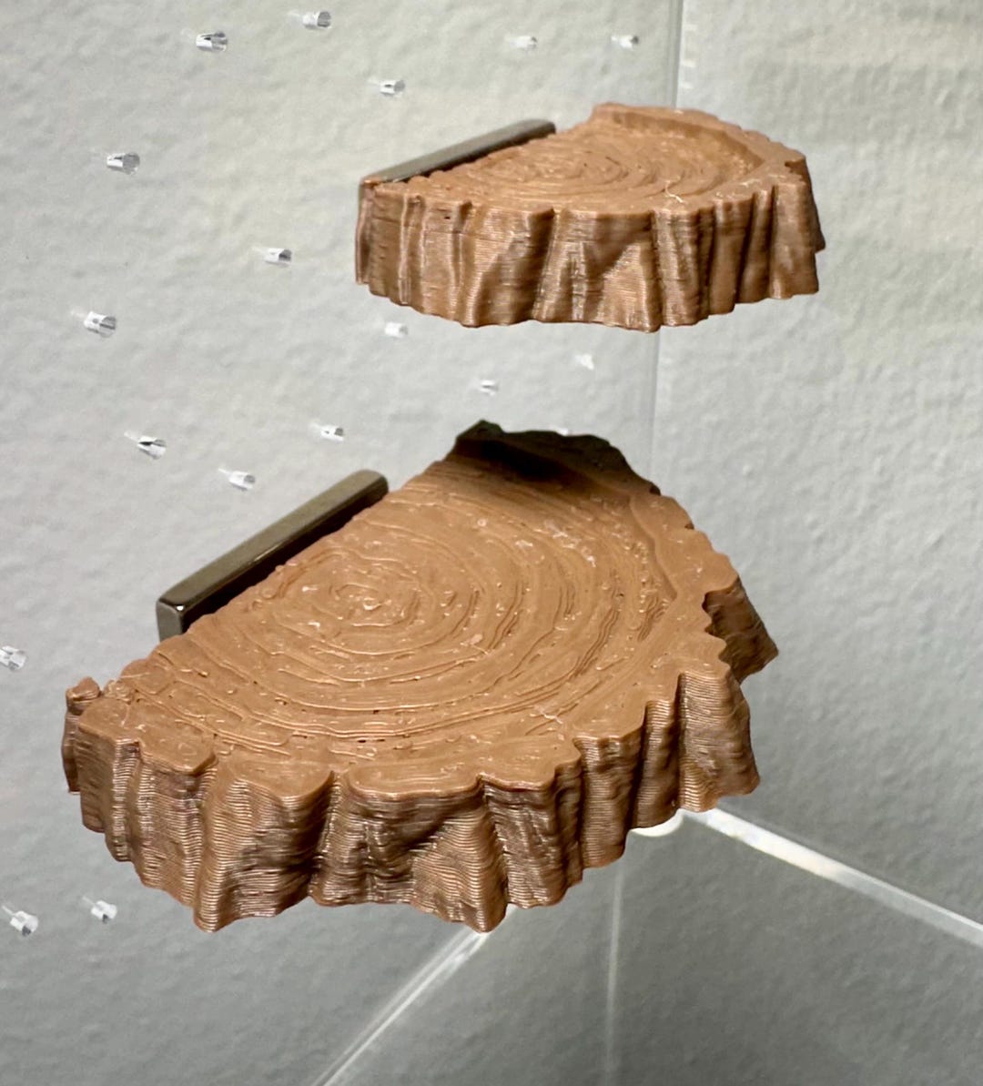 Jumping Spider Log Ledges - Etsy