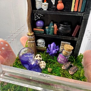 Witch Themed Enclosures - Etsy