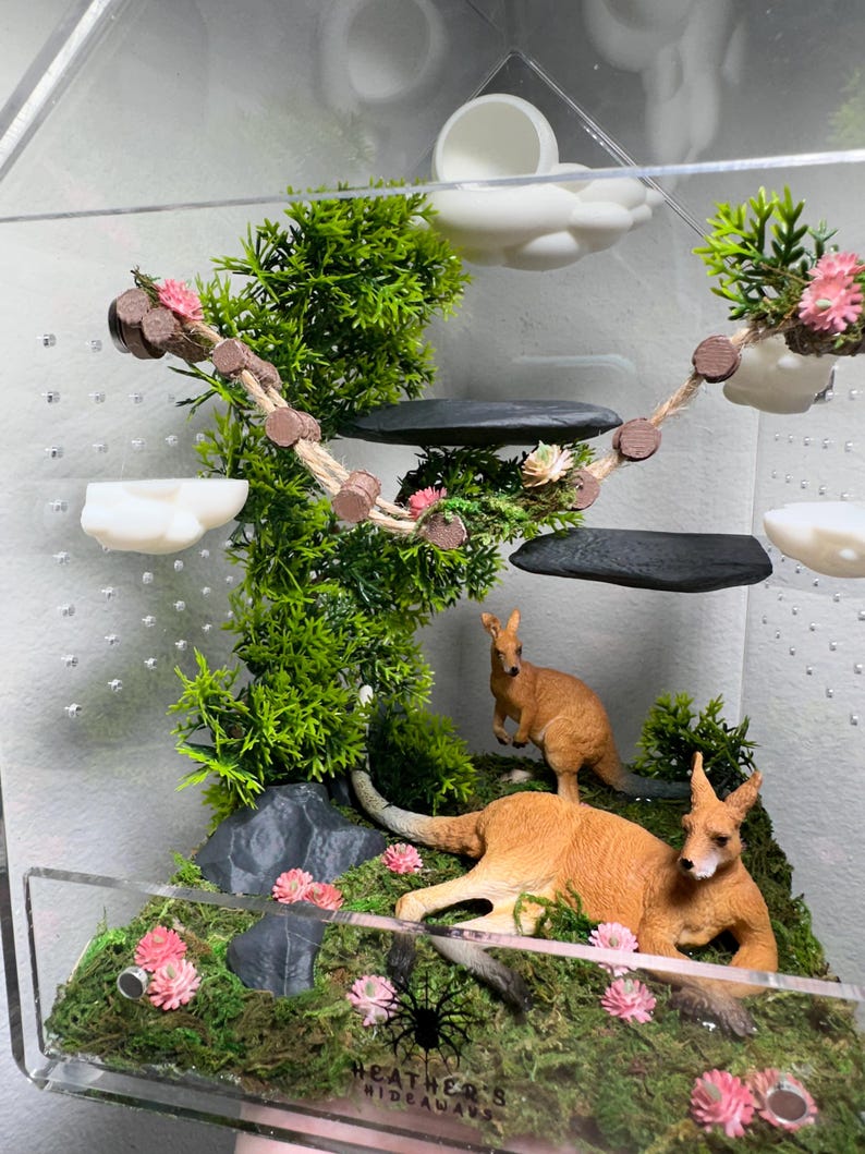 Kangaroo Enclosure - Etsy