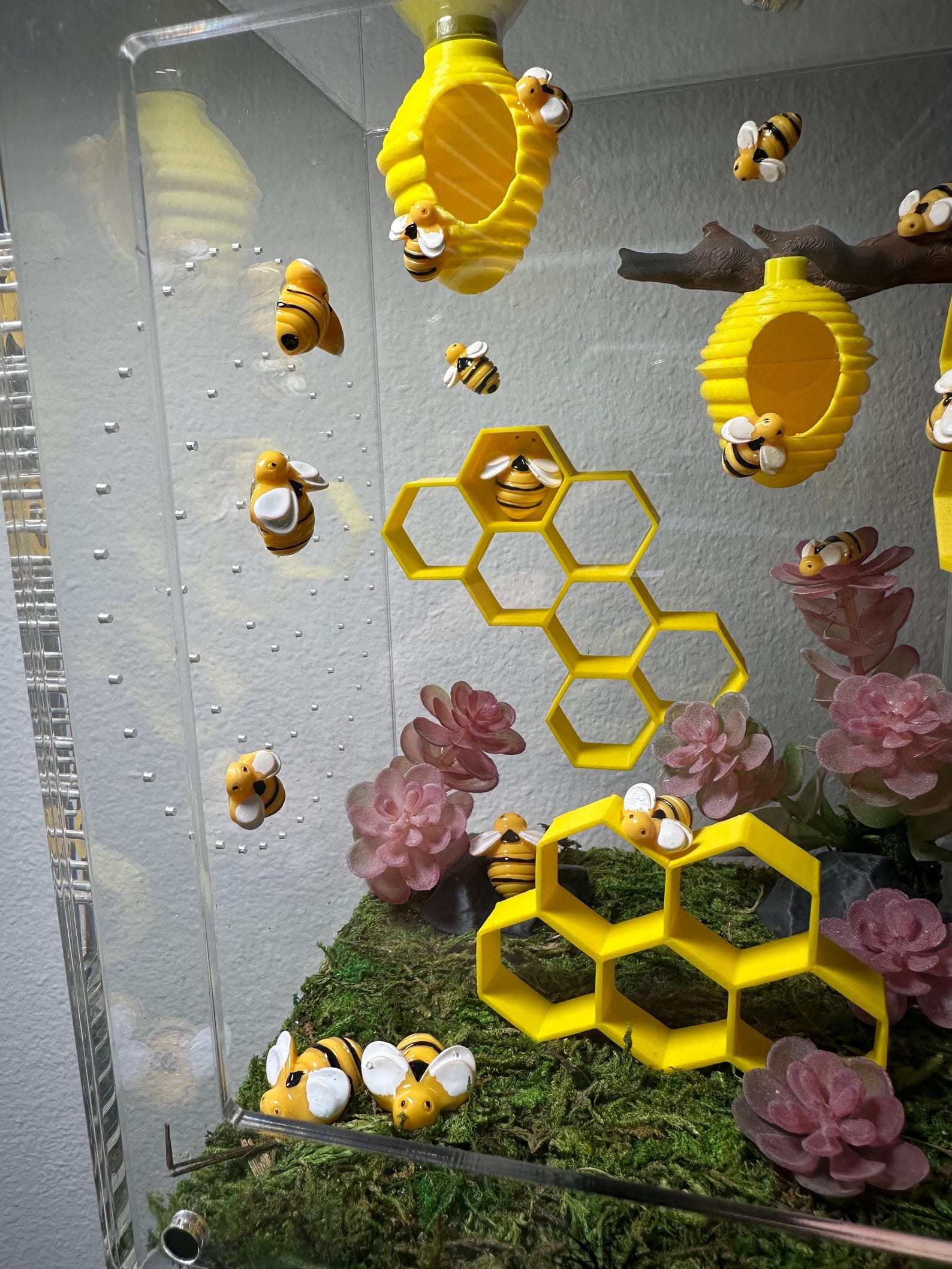 5x5x7 Bee Themed Enclosure - Etsy