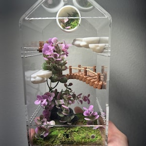 Purple Nature Enclosure - Etsy