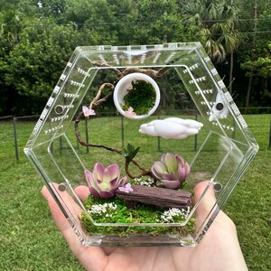 JC Decorated Hexagon Enclosures - Etsy