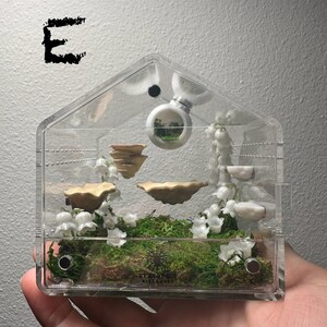 4x4x4 Decorated Enclosures - Etsy