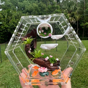 JC Decorated Hexagon Enclosures - Etsy