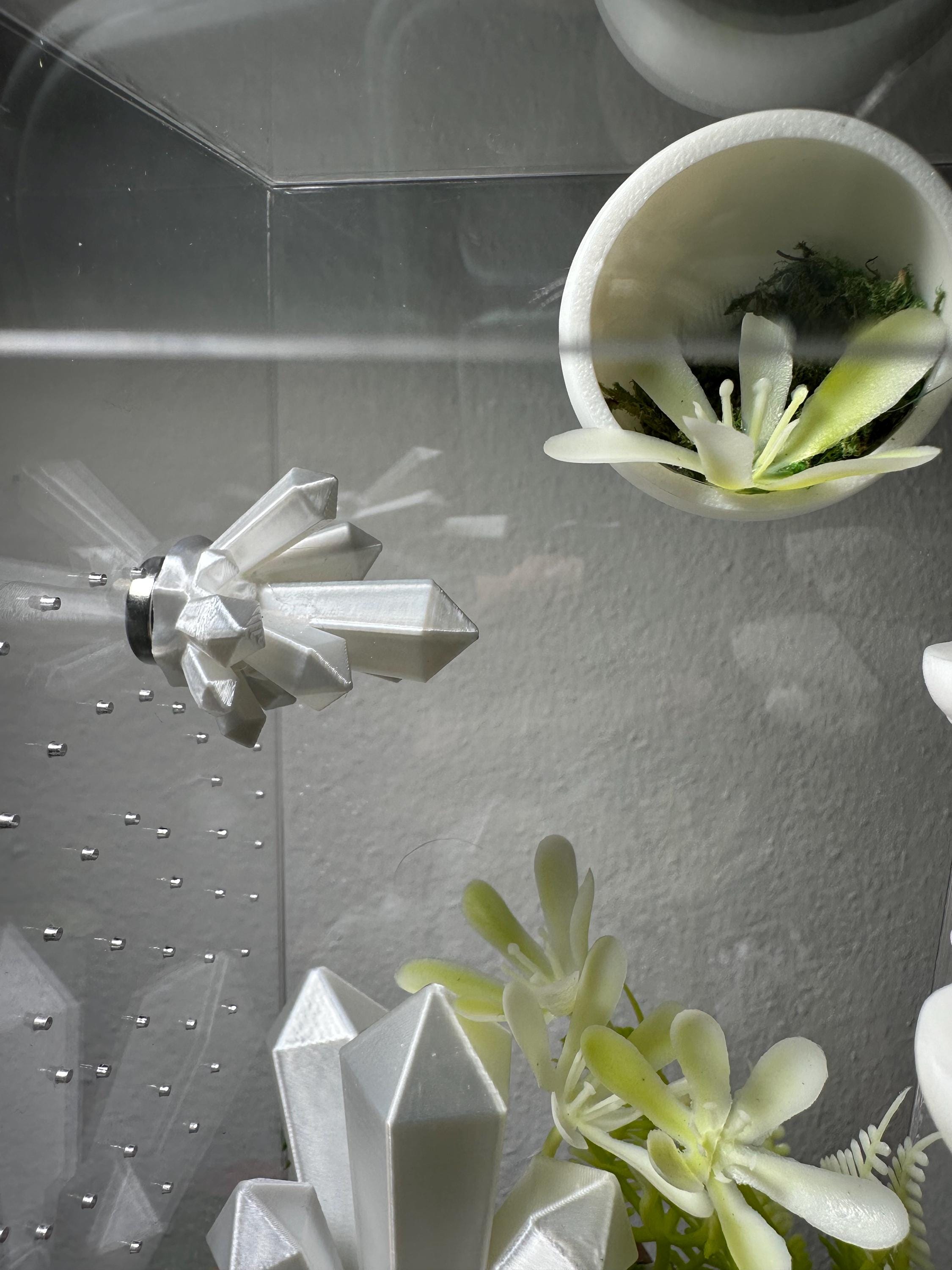 White Crystal Enclosure - Etsy
