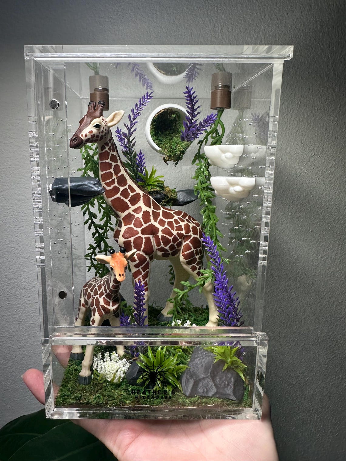 5x5x8 Giraffe Enclosure - Etsy