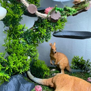 Kangaroo Enclosure - Etsy