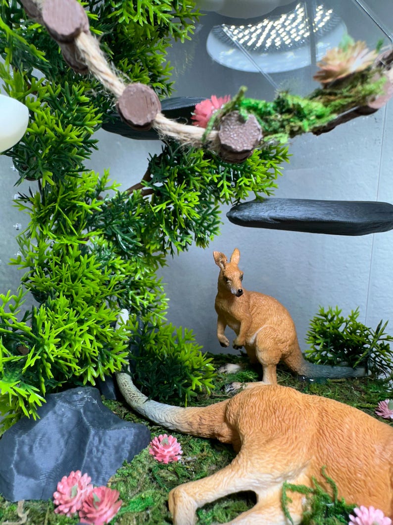 Kangaroo Enclosure - Etsy