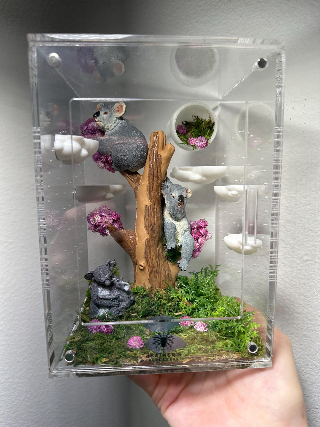 Koala Enclosure - Etsy
