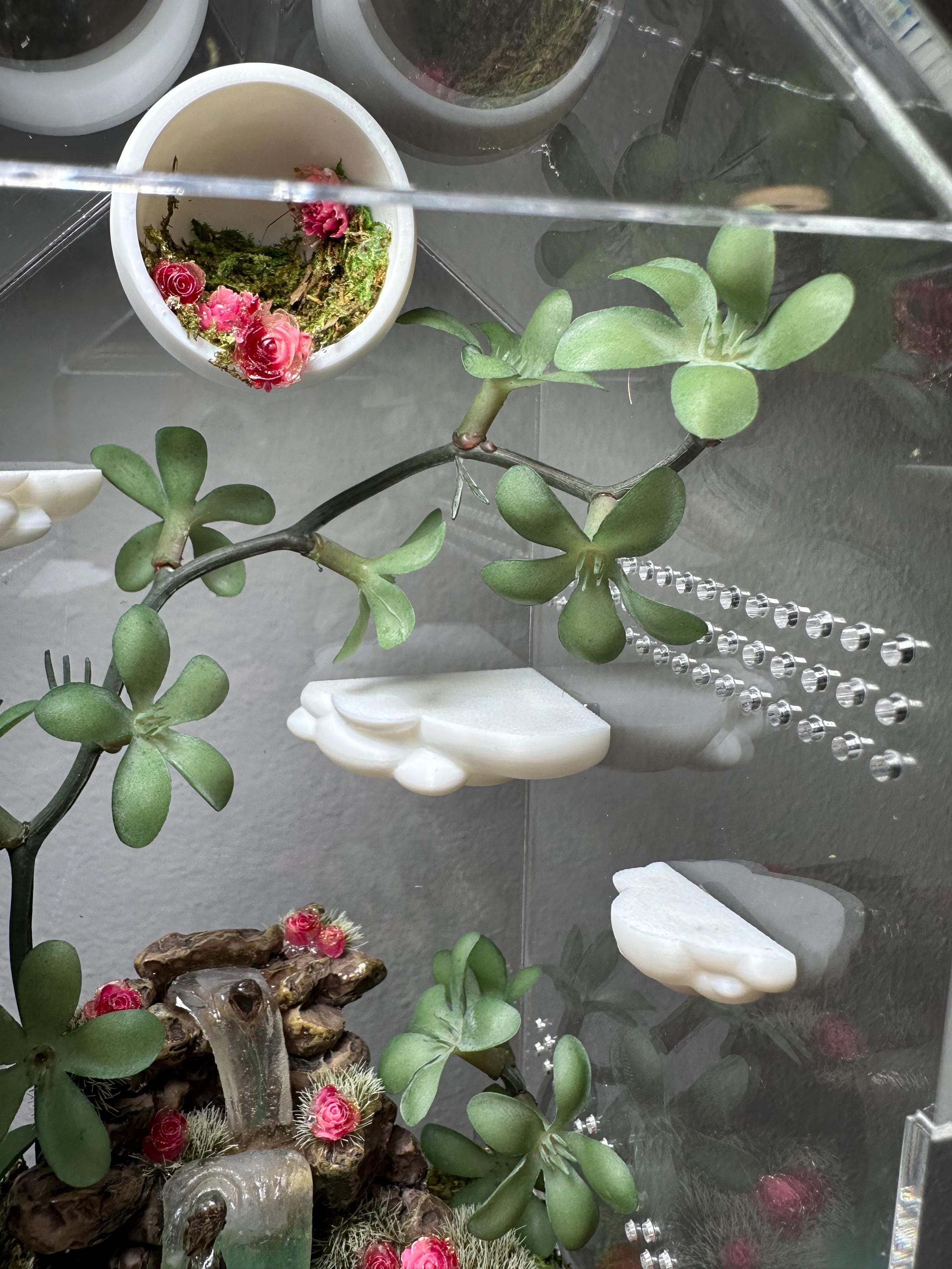 Waterfall Enclosure - Etsy