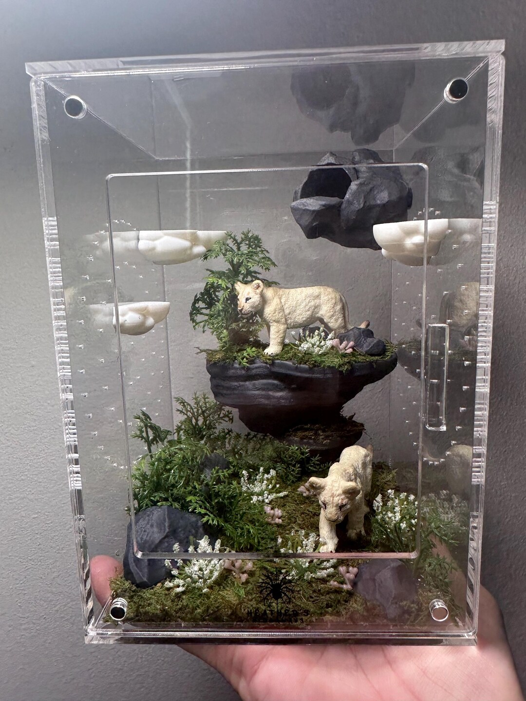 Lion Themed Enclosure - Etsy