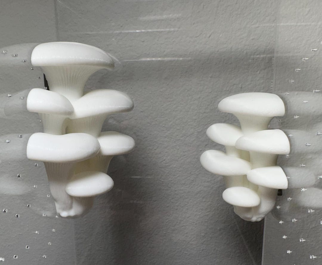 Corner Stacked Mushroom Ledge - Etsy