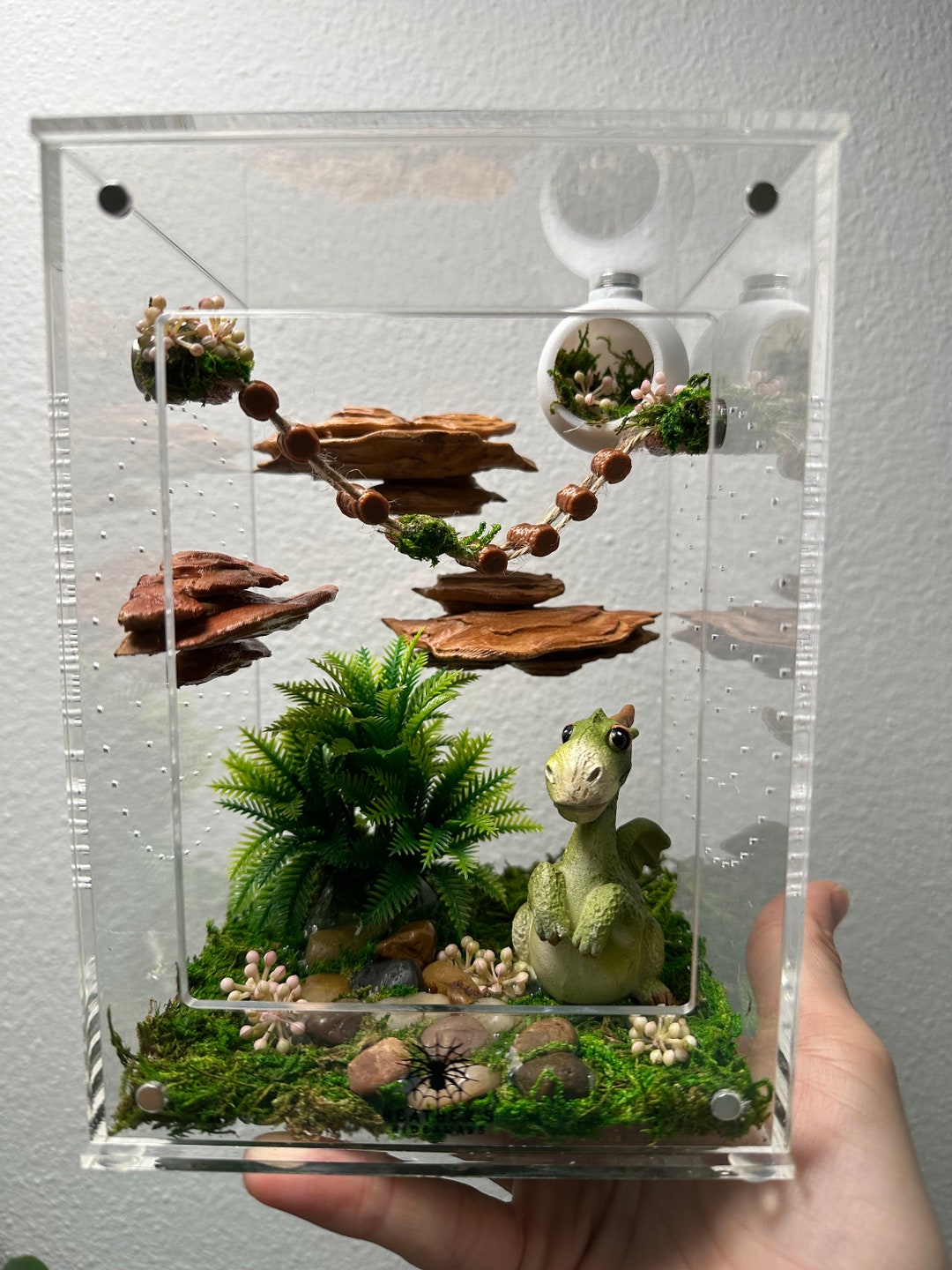Dragon Enclosure - Etsy