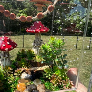 Mushroom Enclosure - Etsy