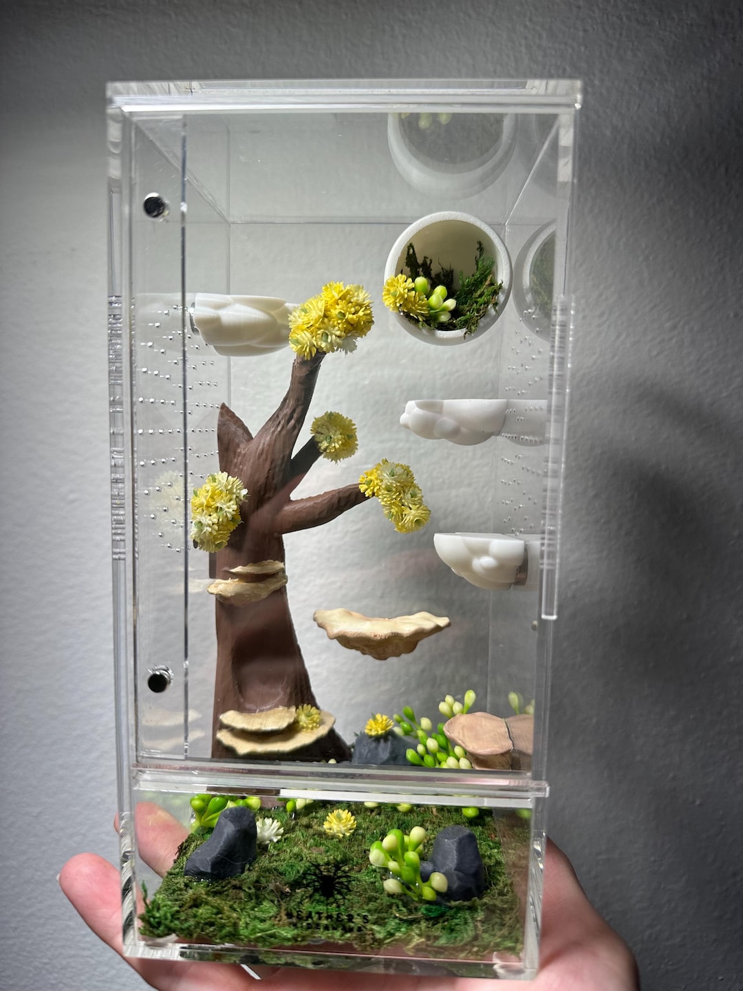 Tree Enclosure - Etsy