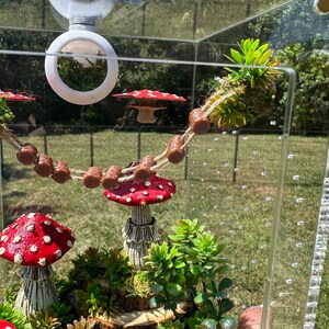 Mushroom Enclosure - Etsy