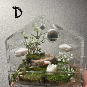 4x4x4 Decorated Enclosures - Etsy