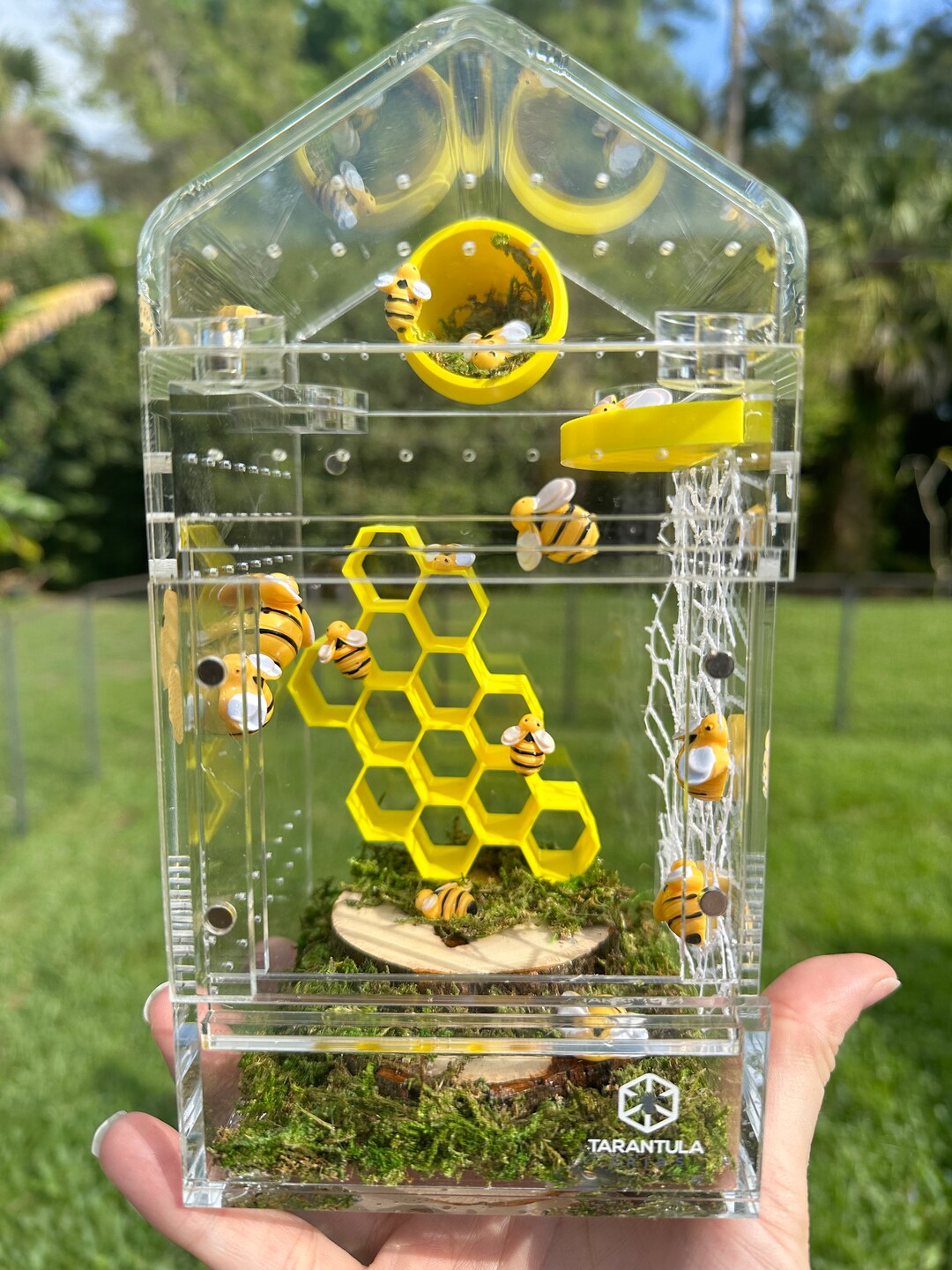 TC Bee Enclosure - Etsy