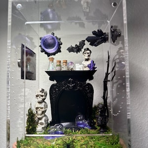 Witch Themed Enclosure - Etsy