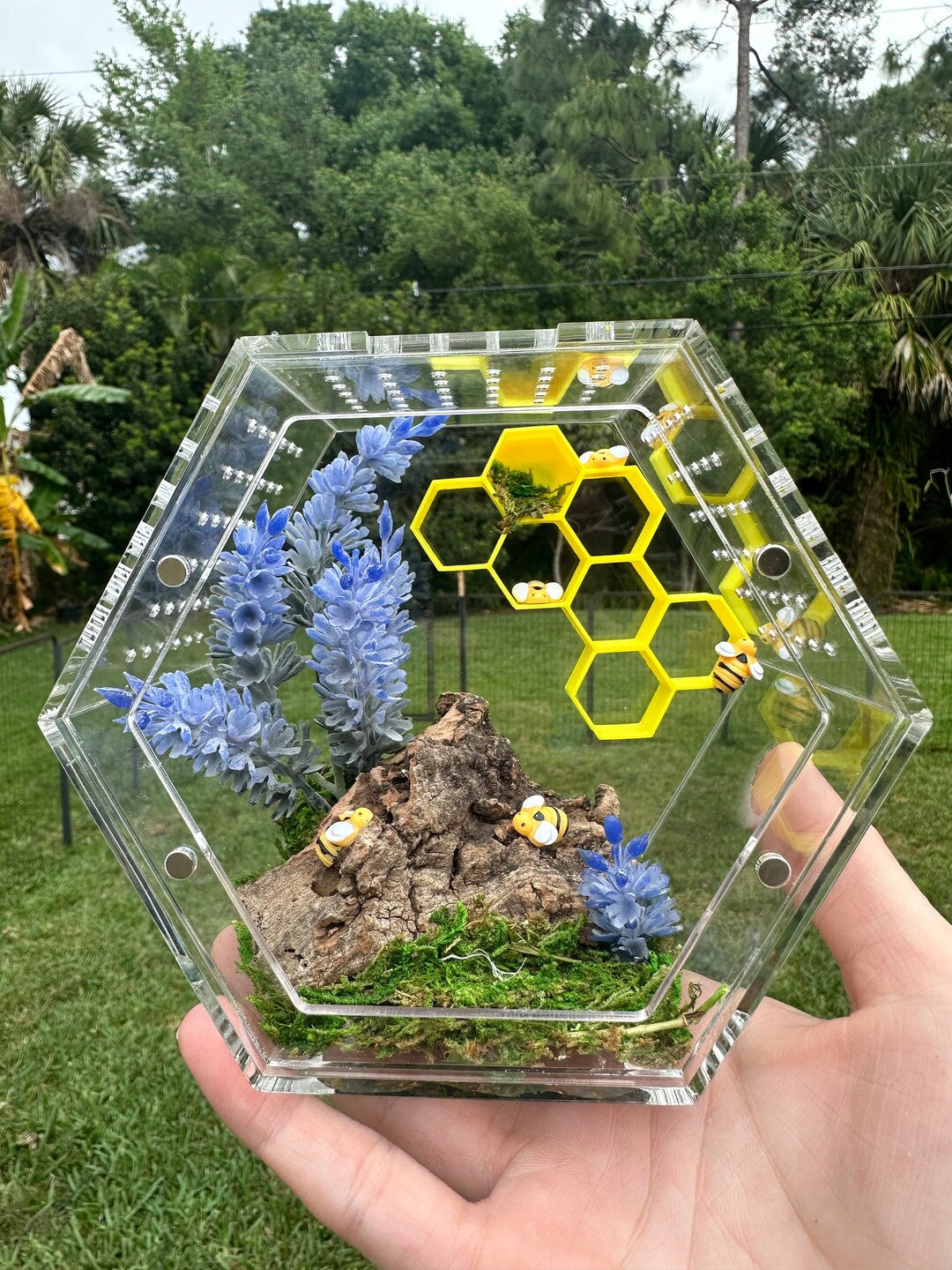 JC Decorated Hexagon Enclosures - Etsy