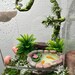 Pond Enclosure - Etsy