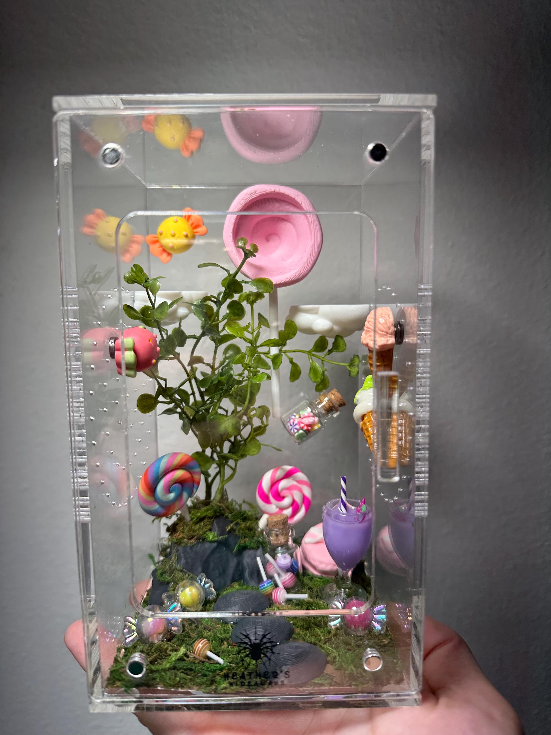Candy Land Enclosure - Etsy