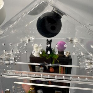 Witch Themed Enclosures - Etsy