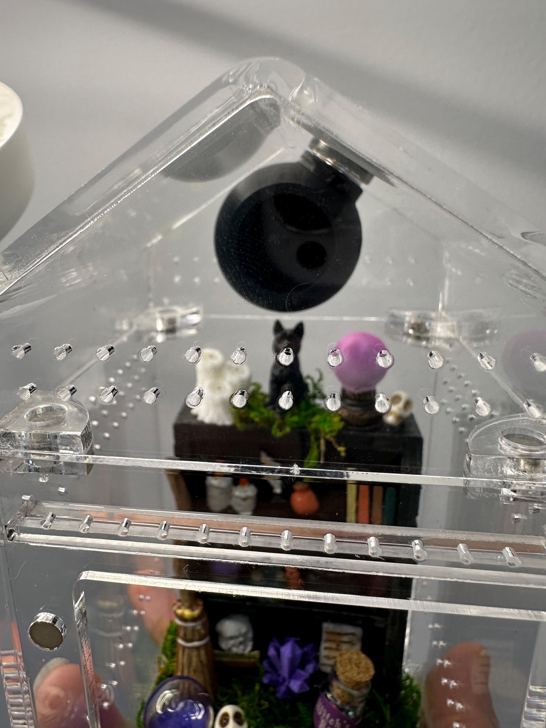 Witch Themed Enclosures - Etsy