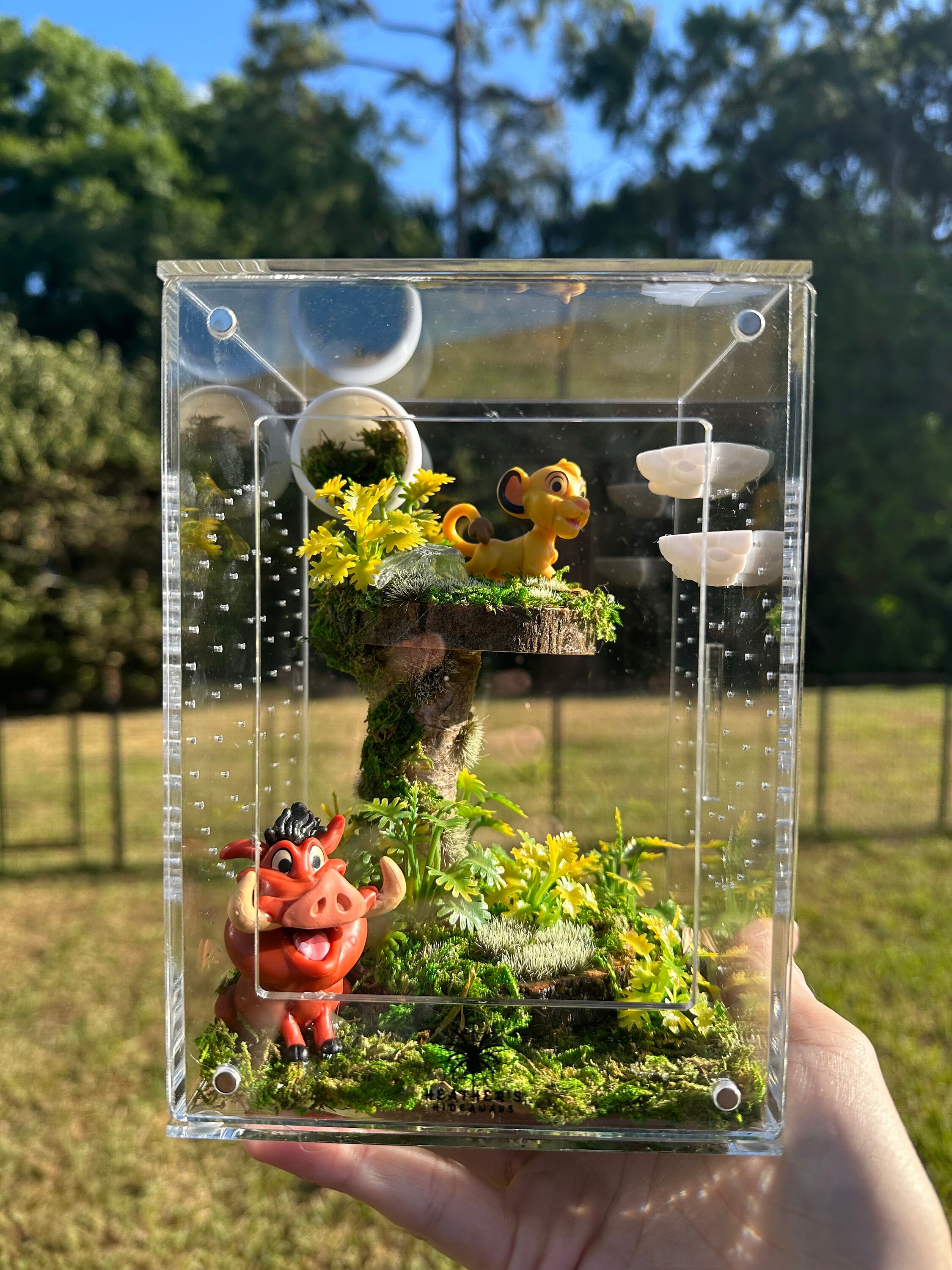 Lion King Enclosure - Etsy
