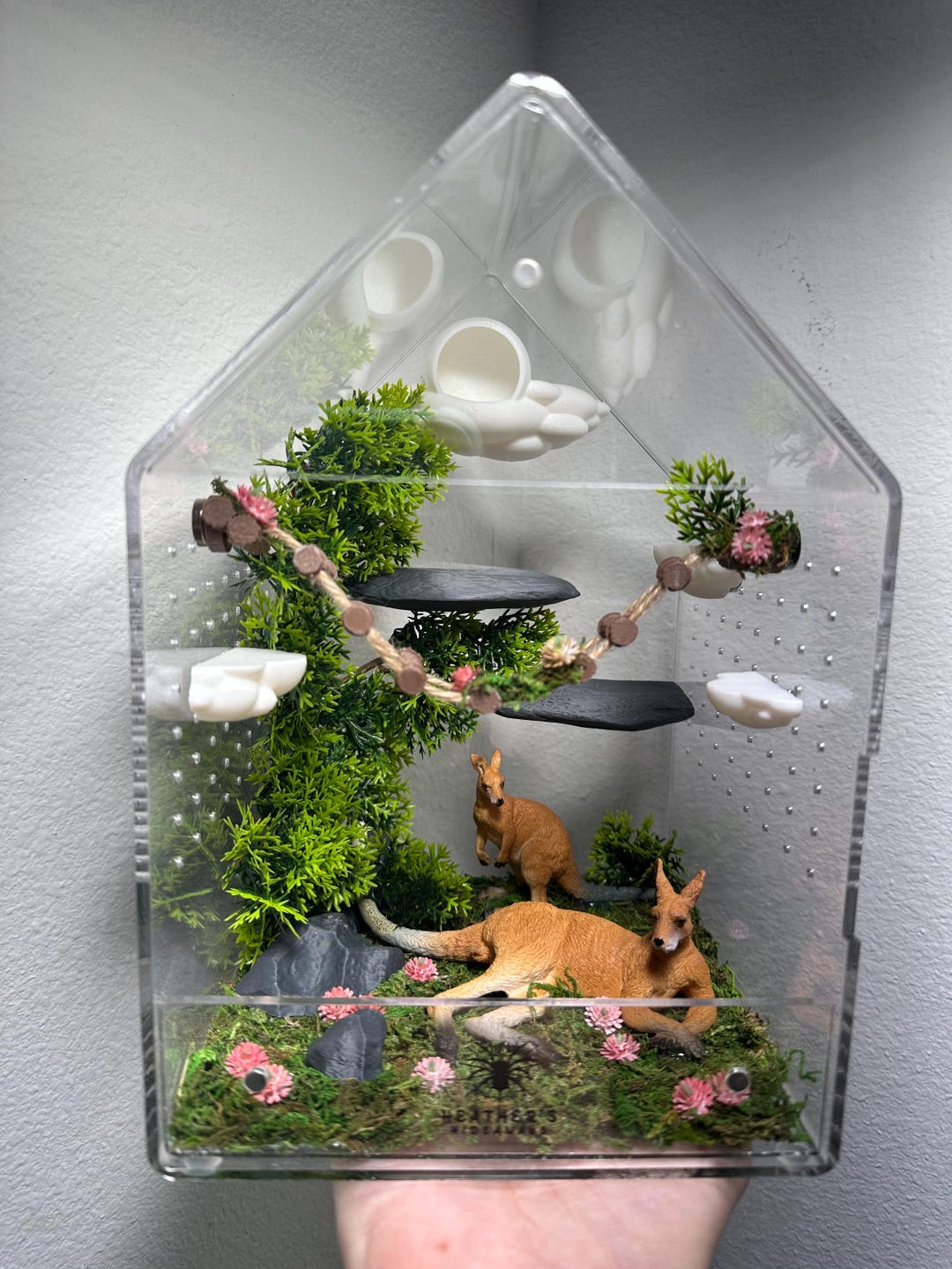 Kangaroo Enclosure - Etsy