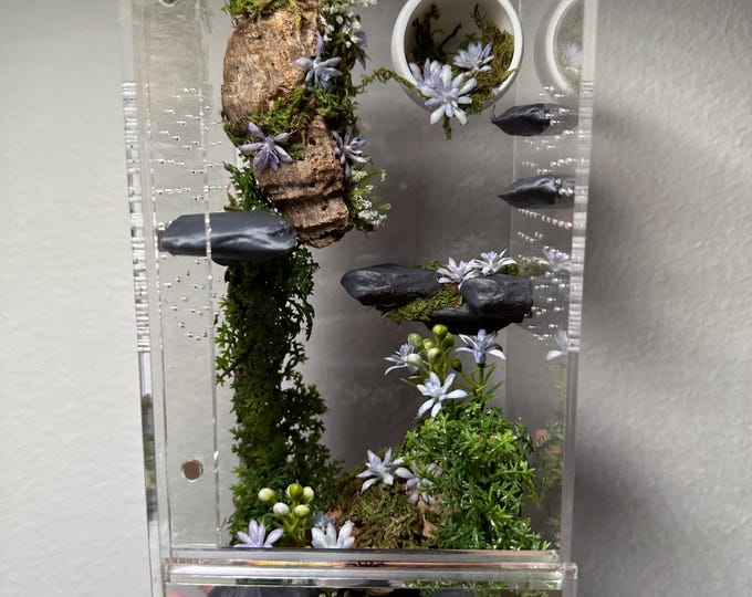 Rock Nature Enclosure - Etsy