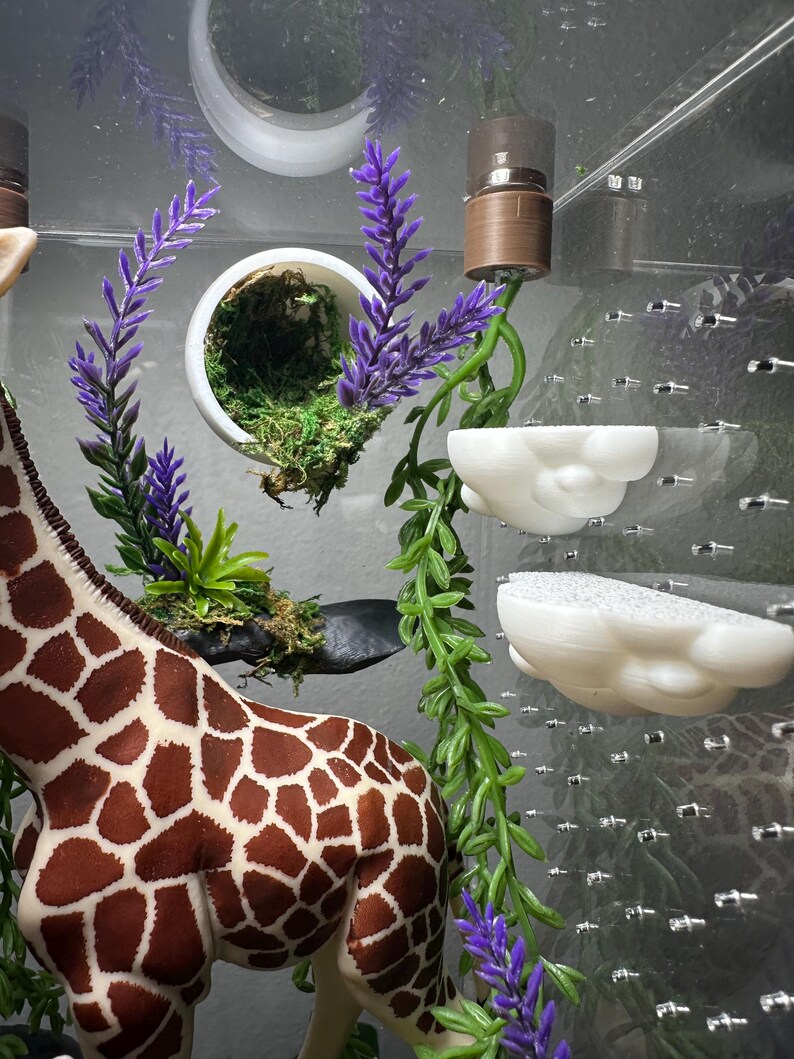 5x5x8 Giraffe Enclosure - Etsy