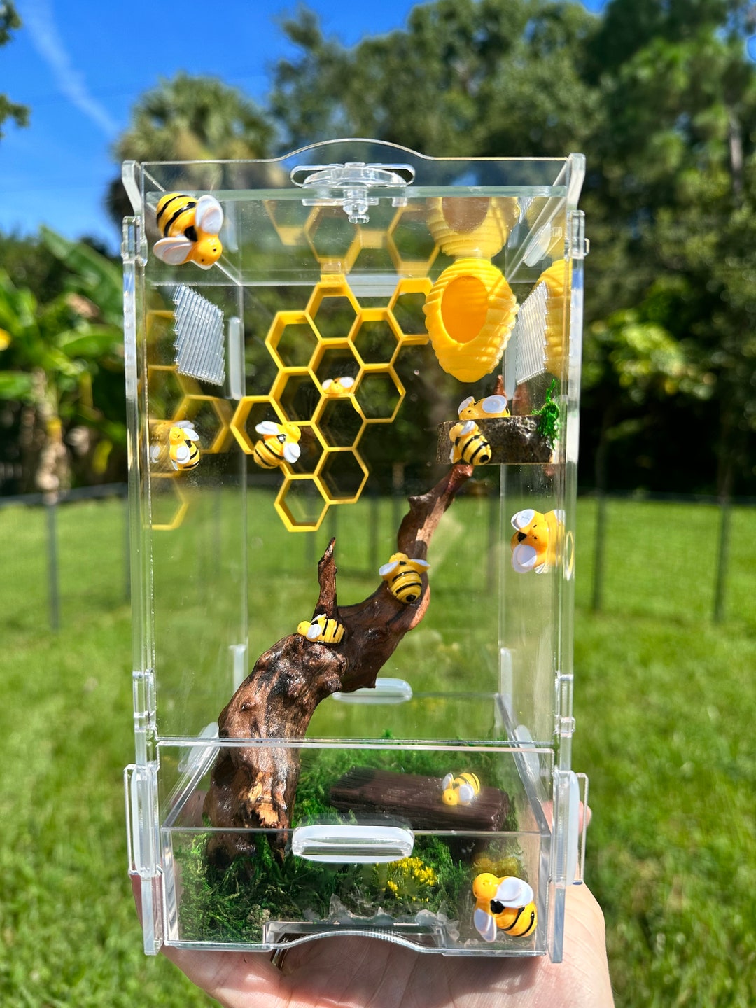 Zilla Bee Enclosure - Etsy