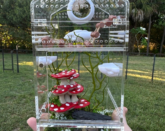 Mushroom Nature Enclosure - Etsy