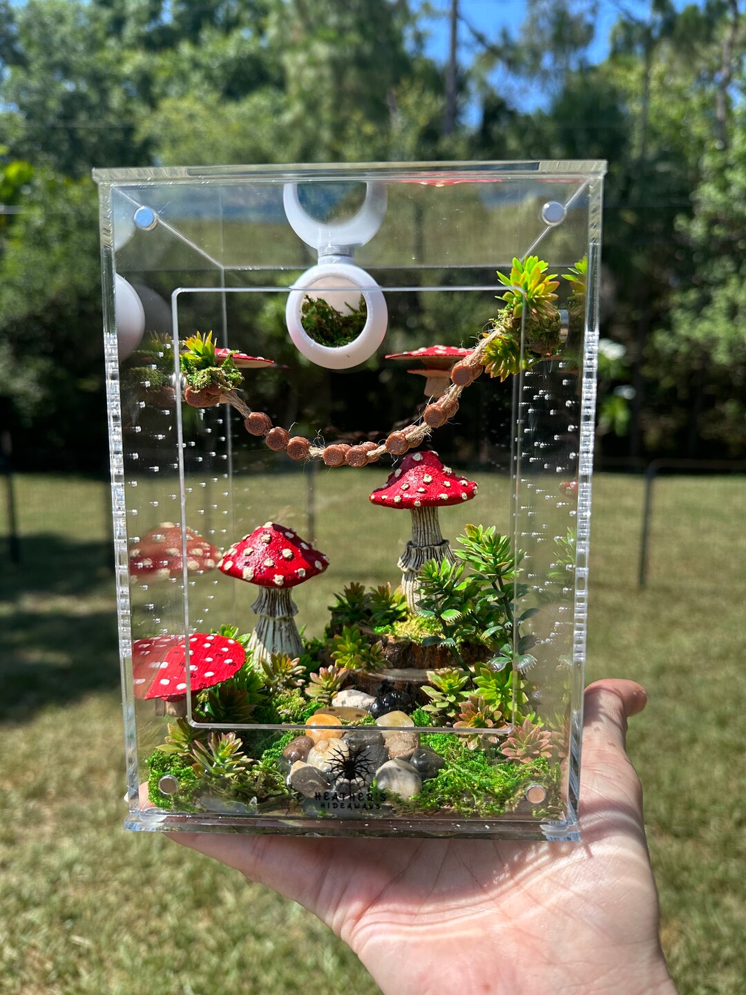 Mushroom Enclosure - Etsy