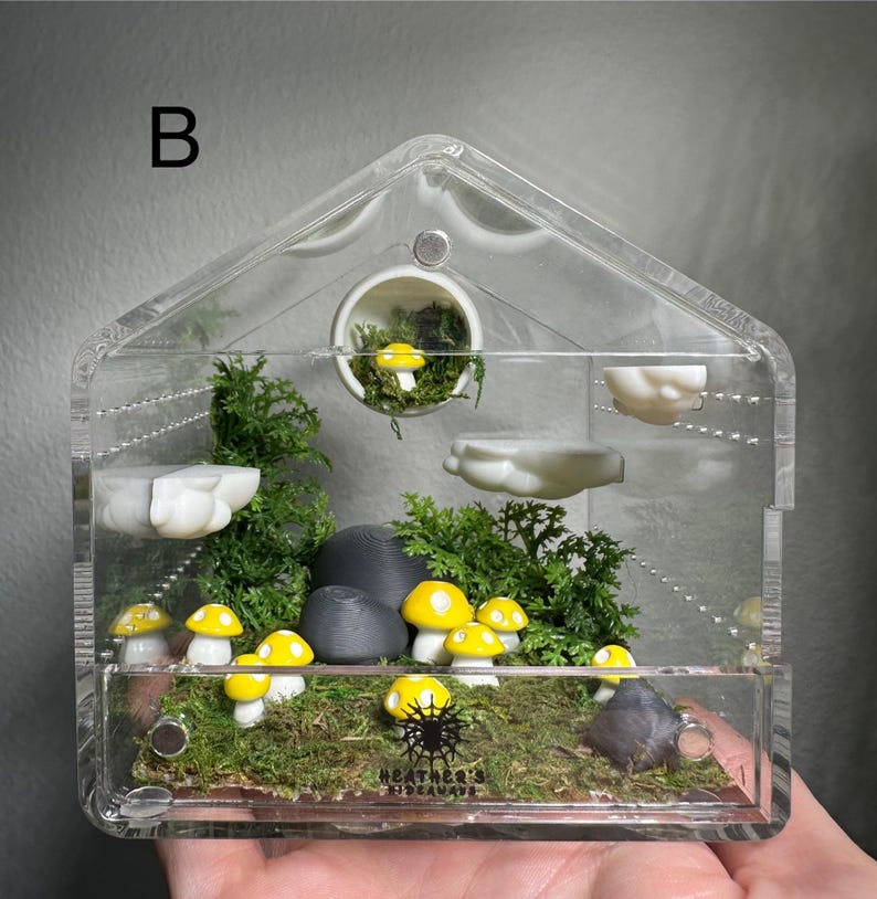 4x4x4 Decorated Enclosures - Etsy